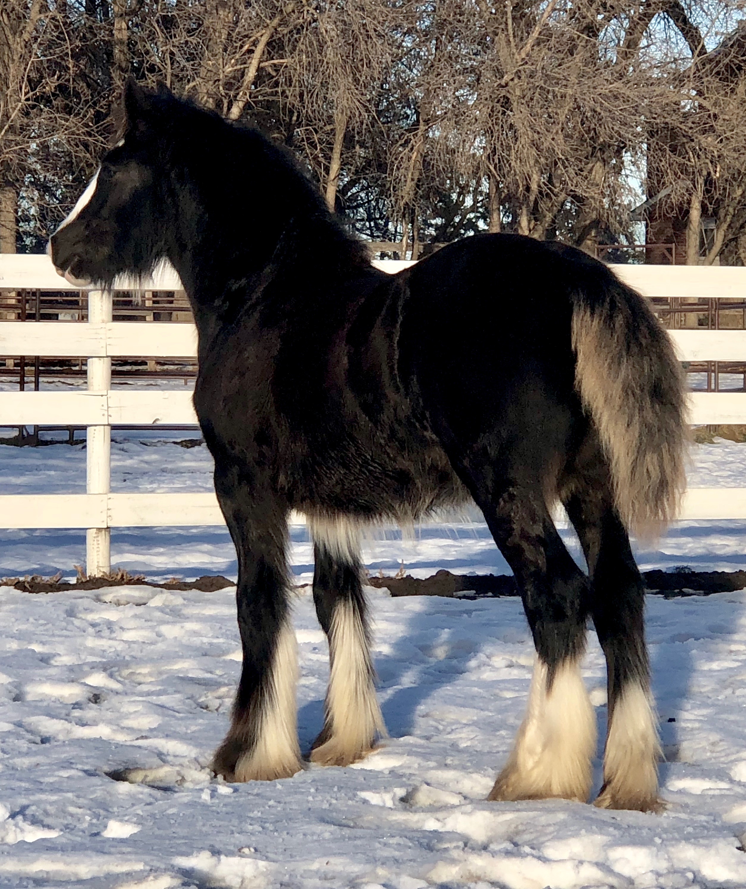 For Sale | River Lane Ranch