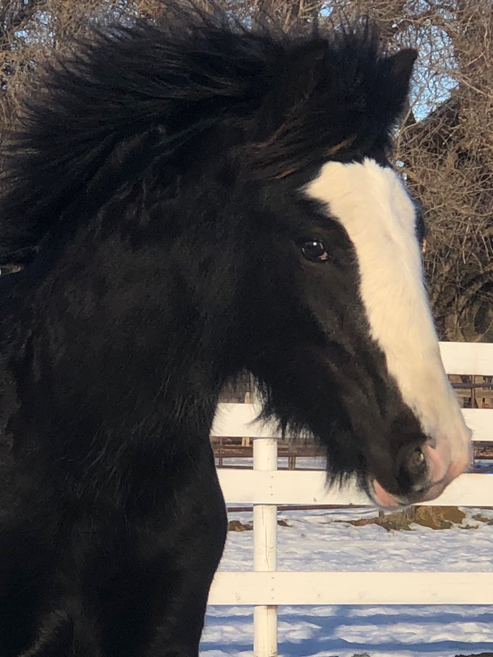 For Sale | River Lane Ranch