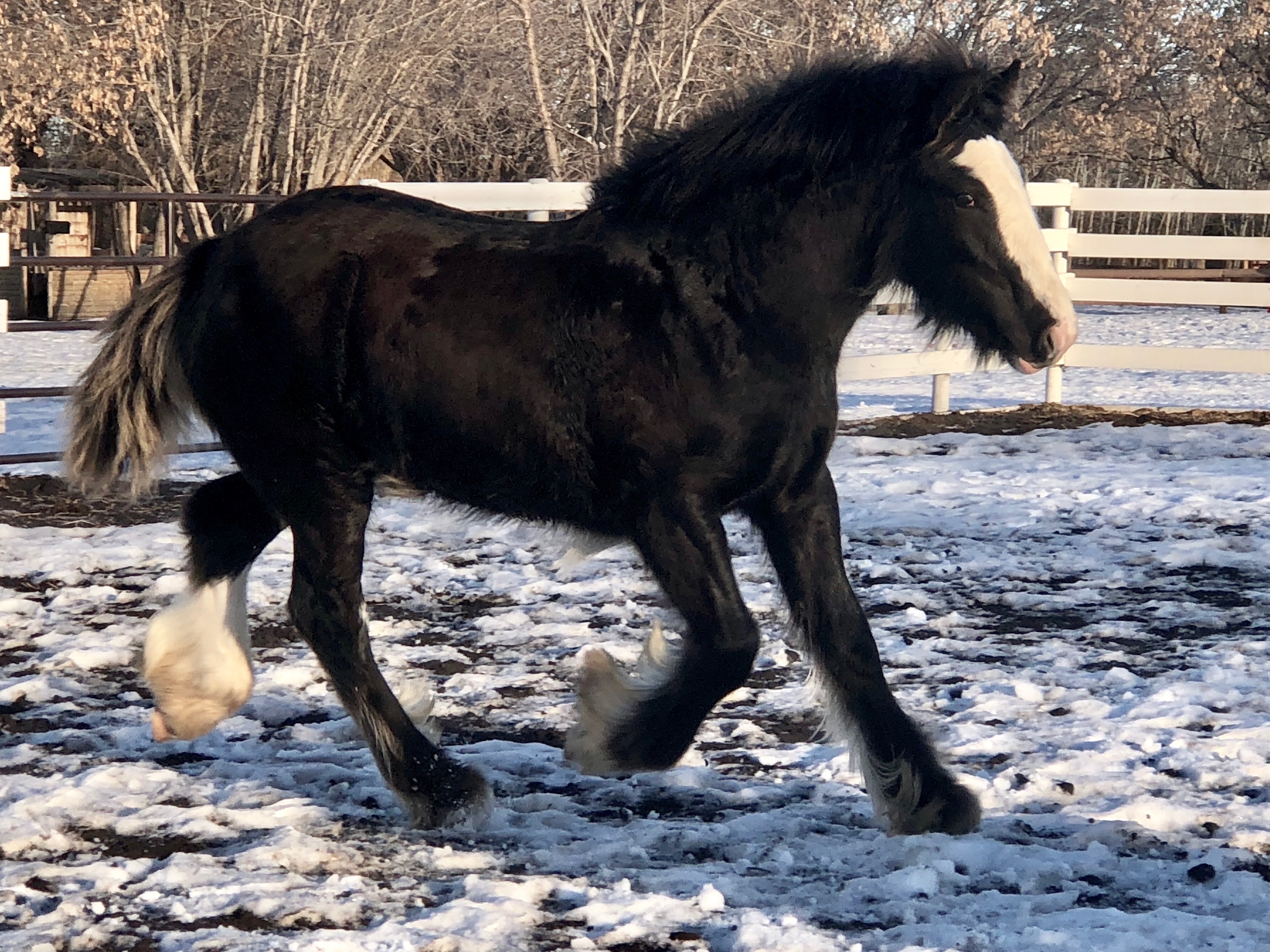 For Sale | River Lane Ranch