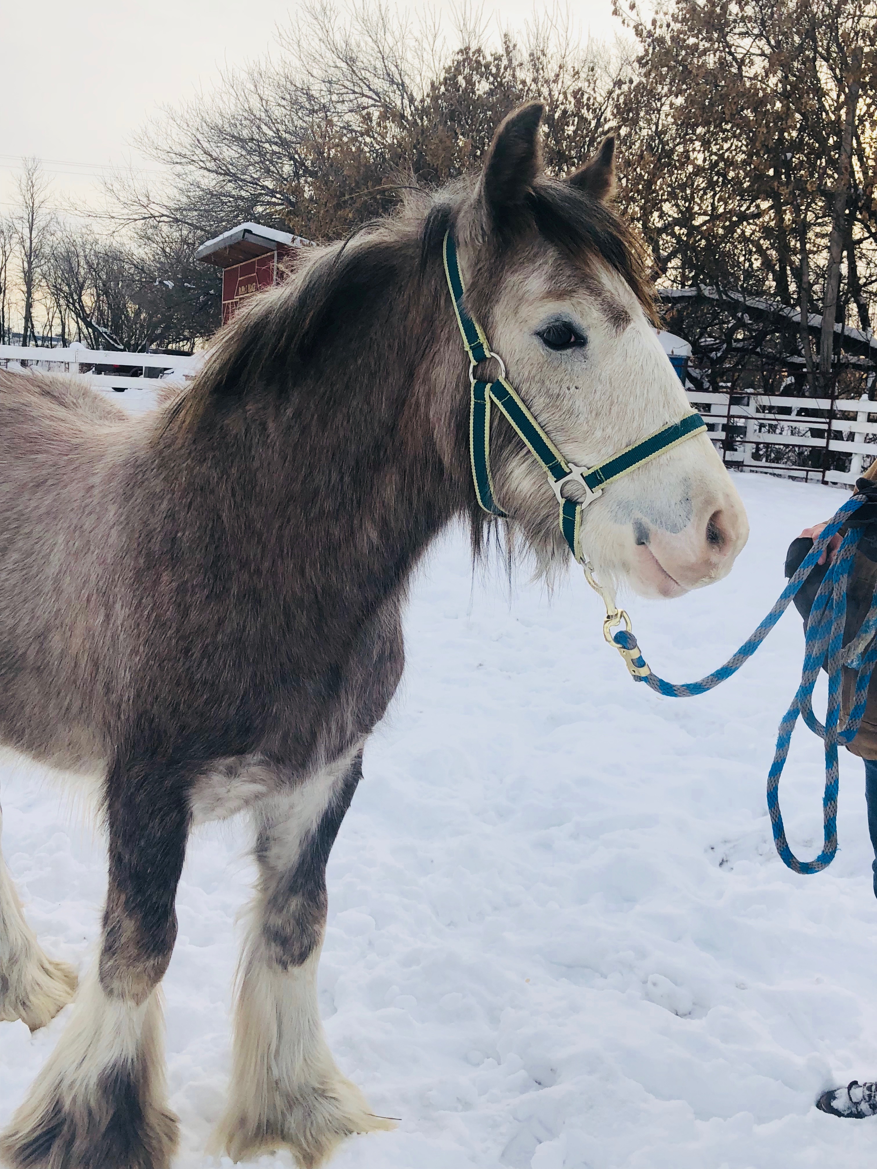 For Sale | River Lane Ranch