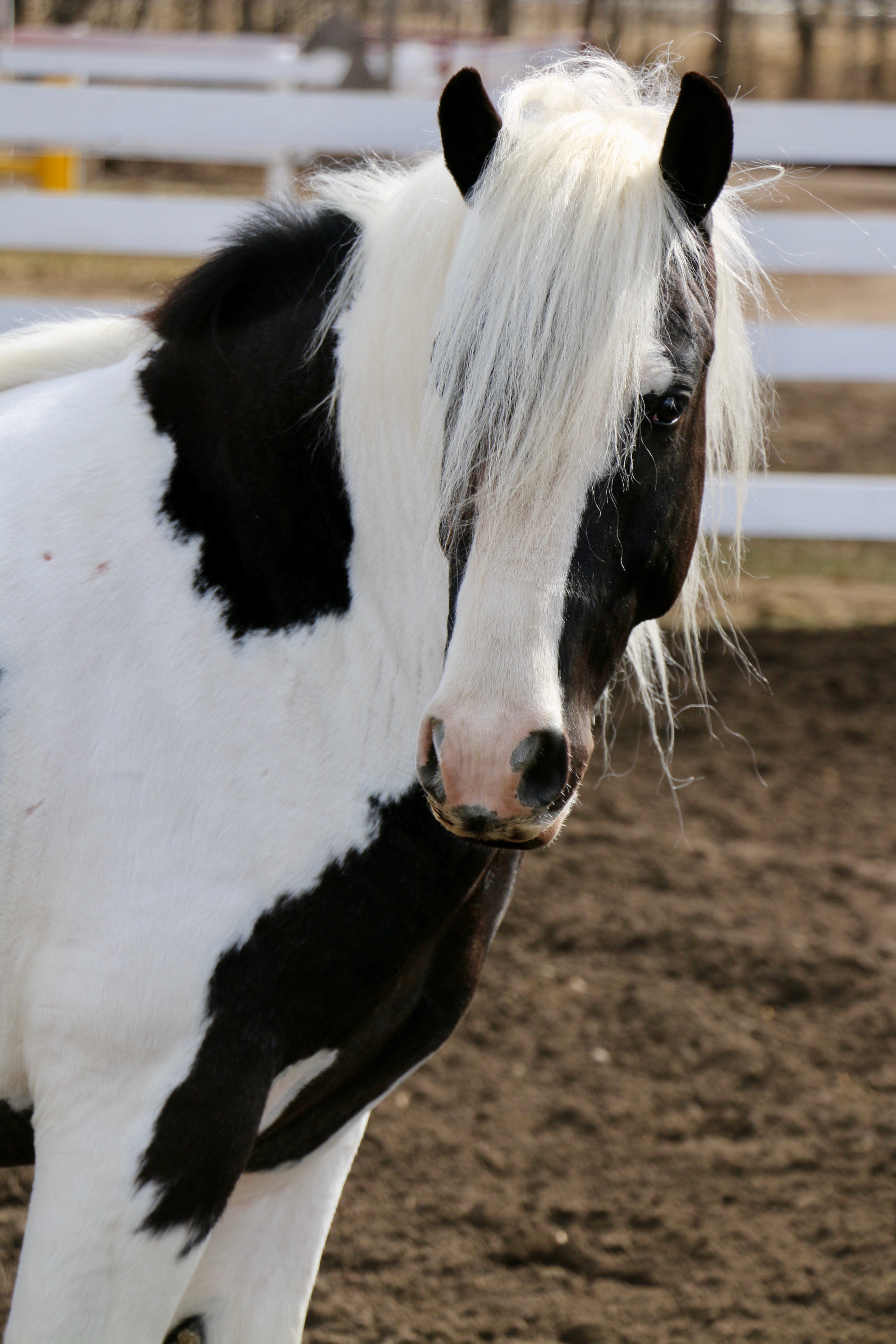 For Sale | River Lane Ranch