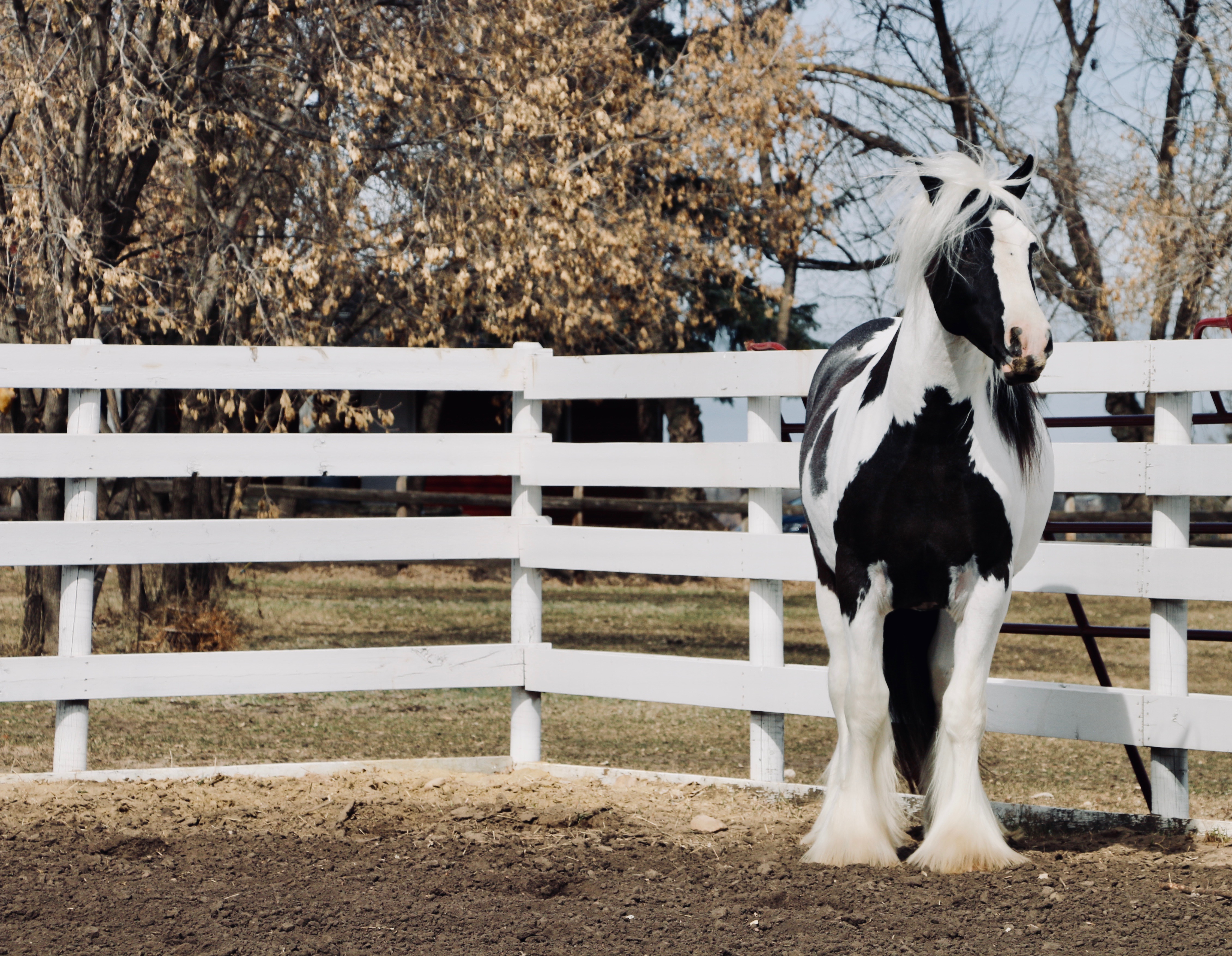 For Sale | River Lane Ranch