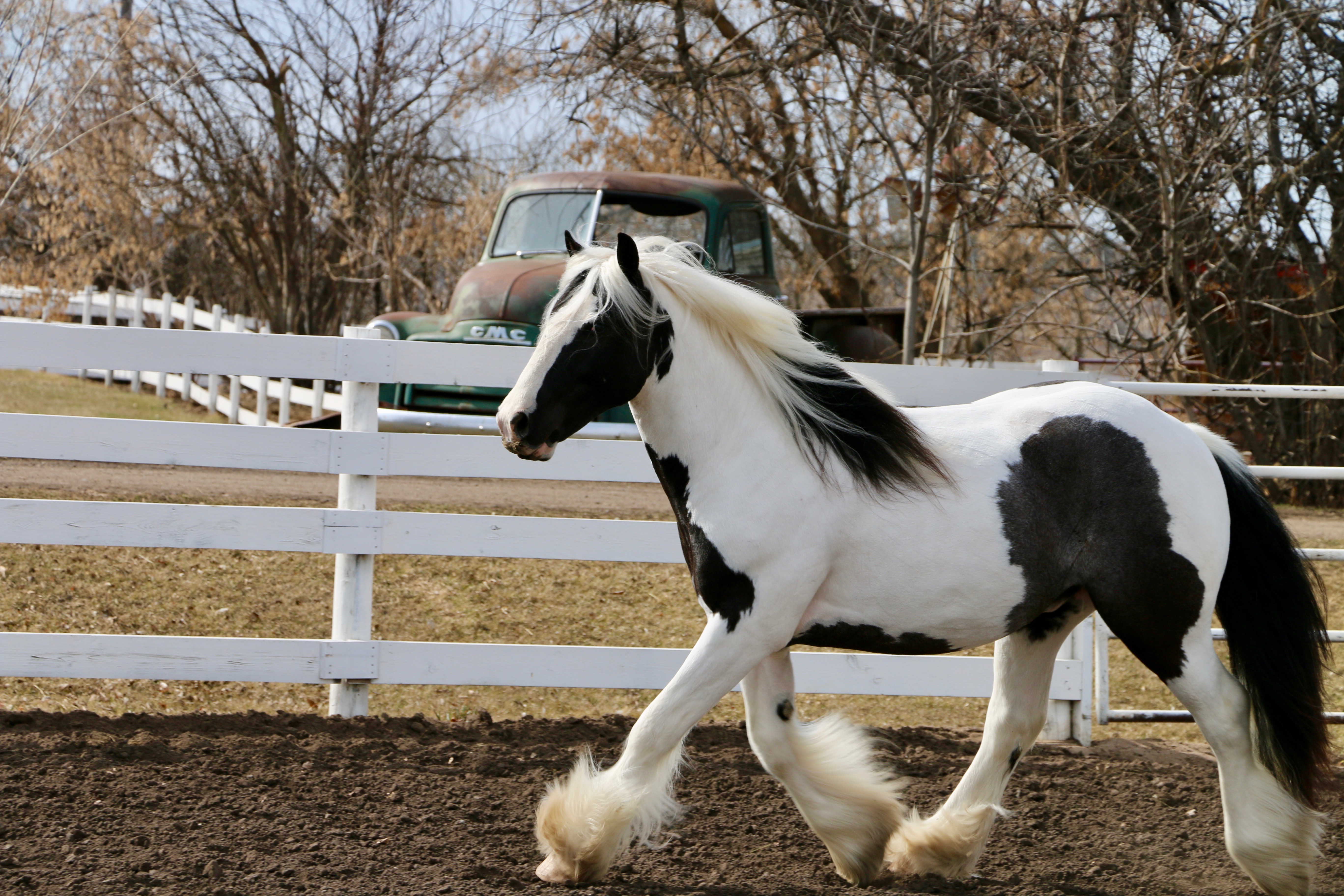 For Sale | River Lane Ranch