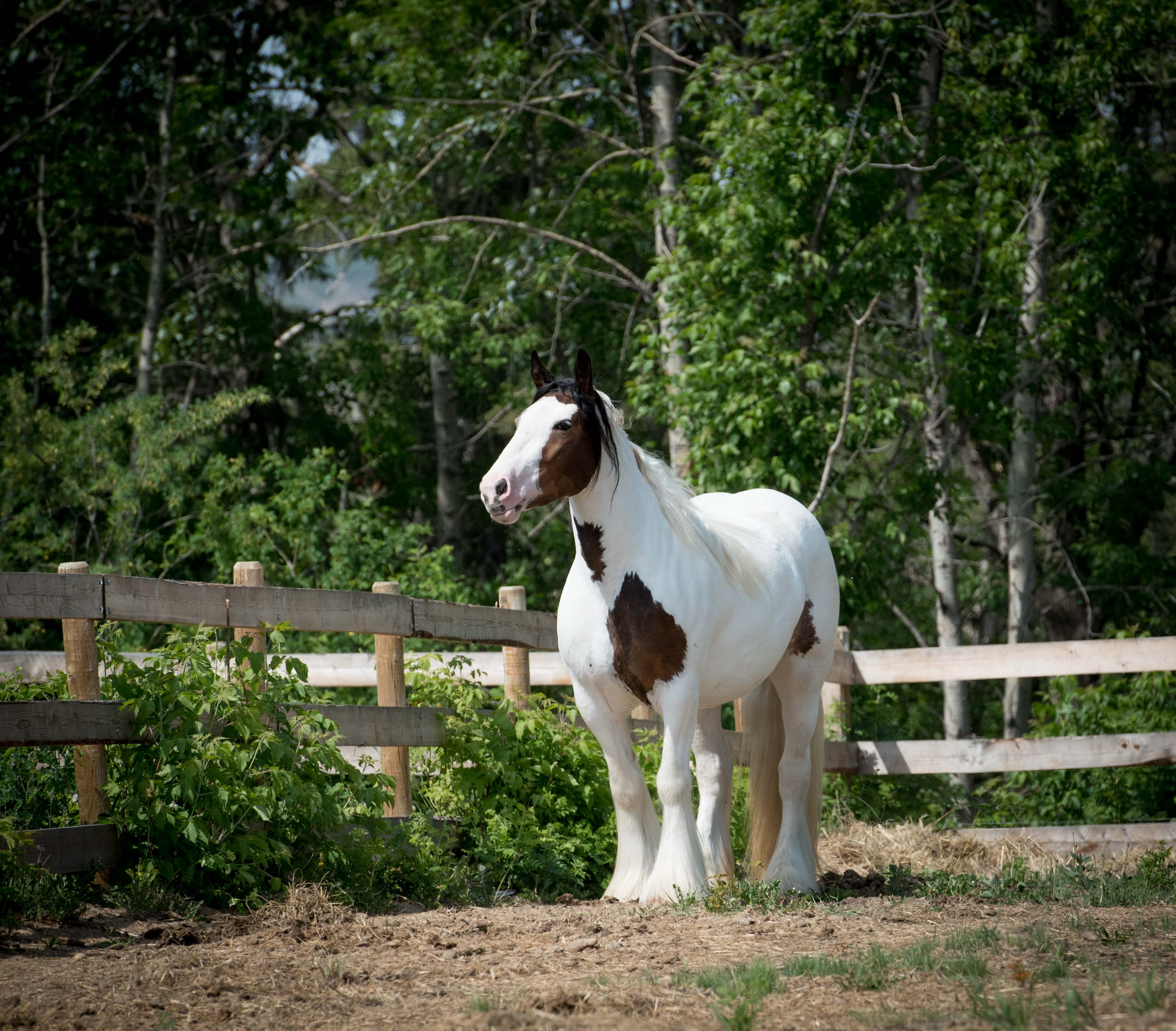 For Sale | River Lane Ranch
