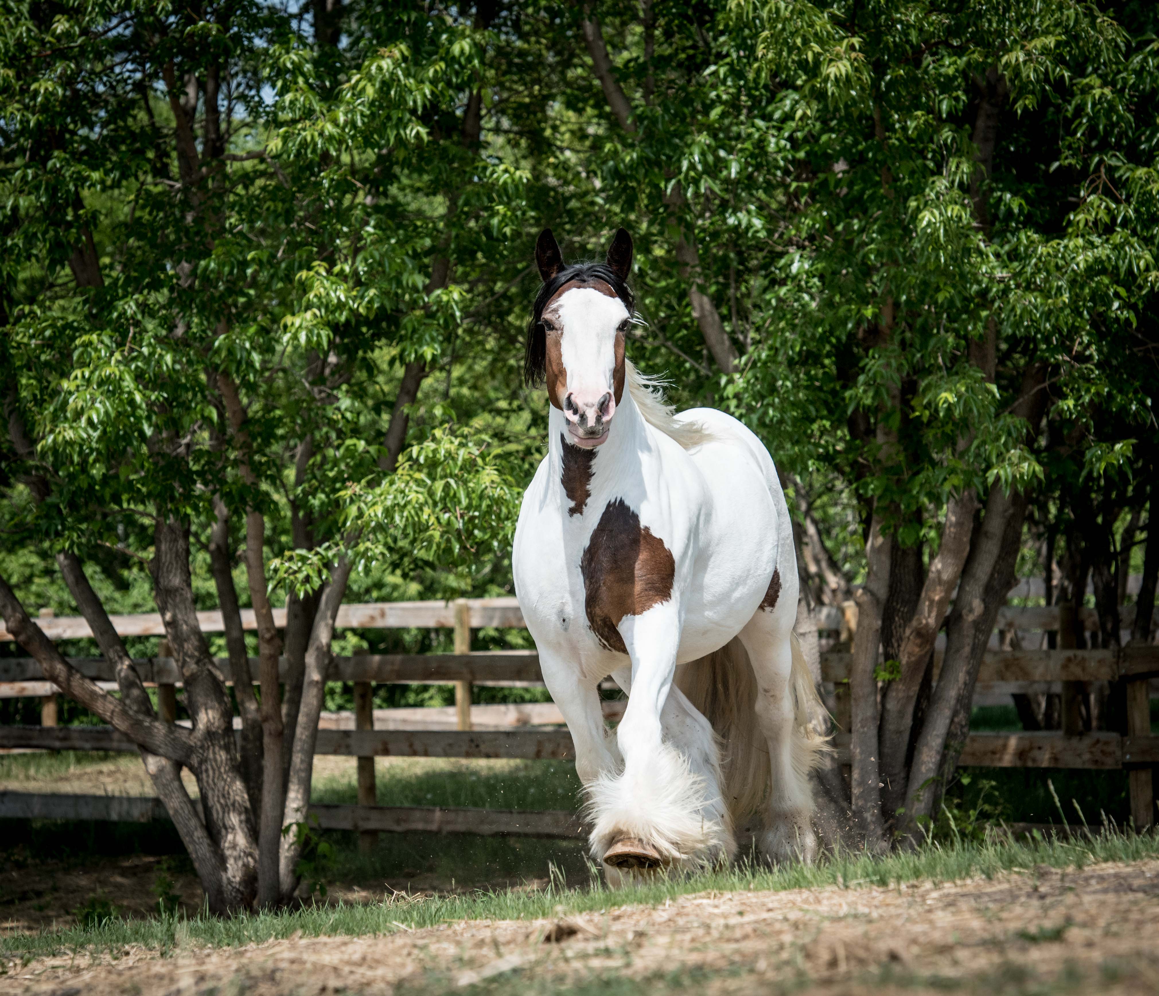 For Sale | River Lane Ranch