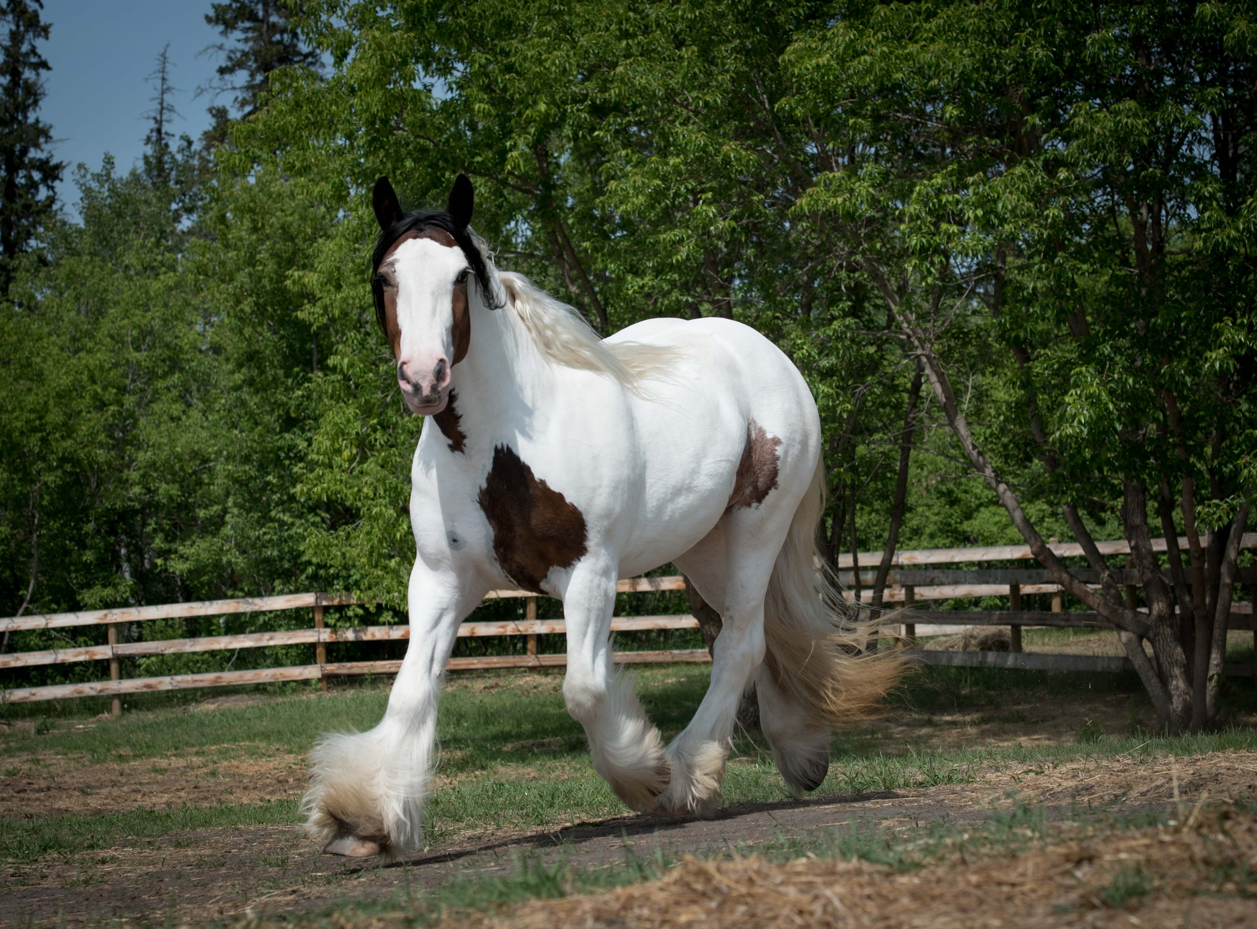 For Sale | River Lane Ranch