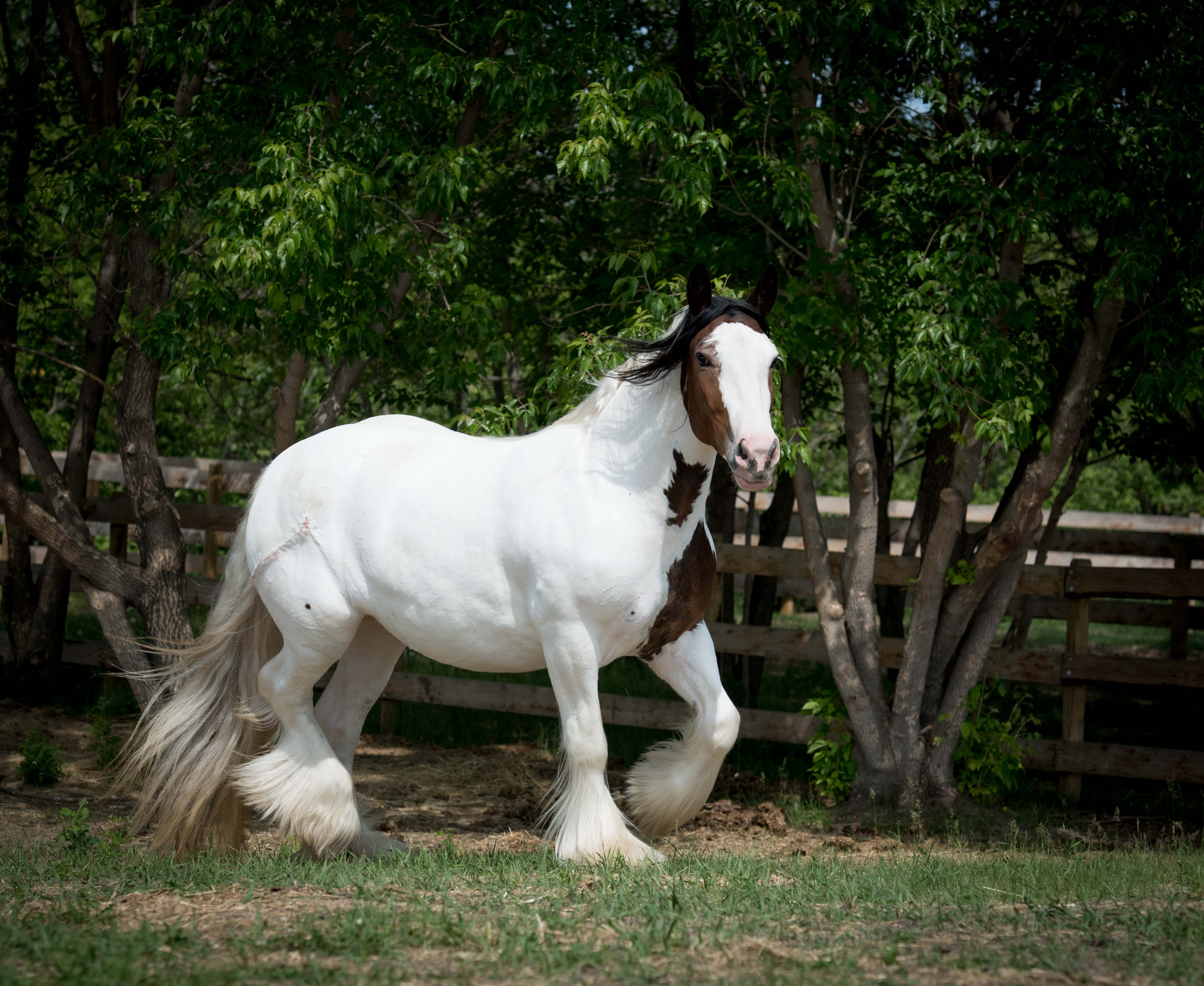 For Sale | River Lane Ranch